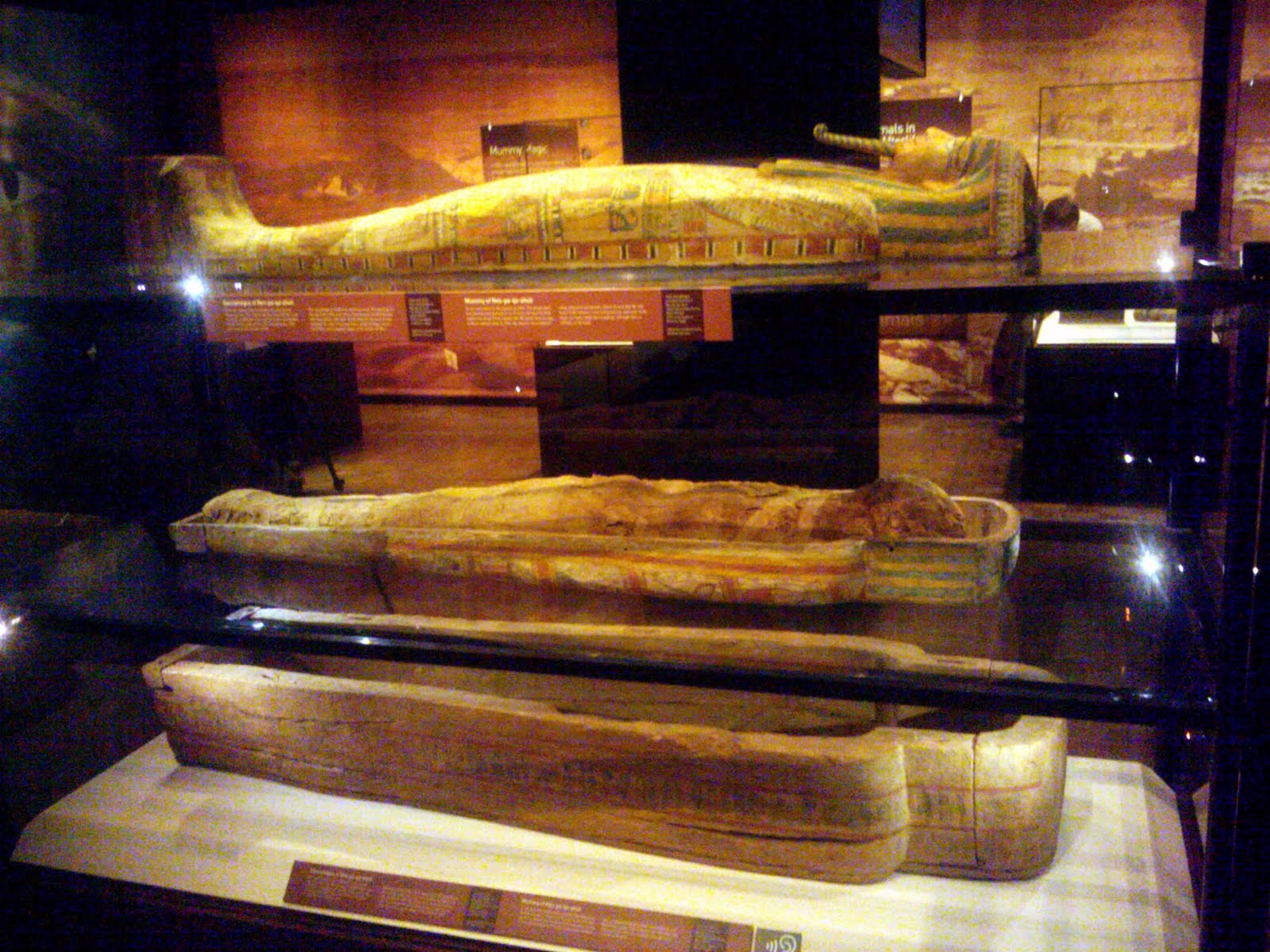 Hispanic News Network U.S.A.: Milwaukee Public Museum Opens With Human ...