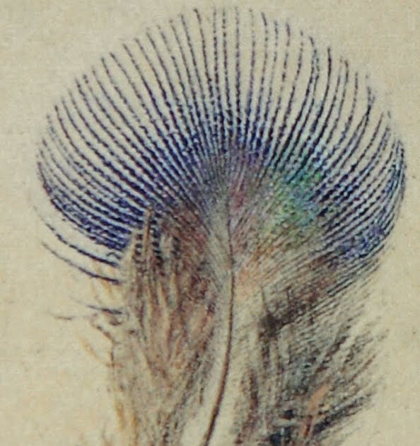 Data Deluge: ... drawing disciplines the eye and brain, tempers ...