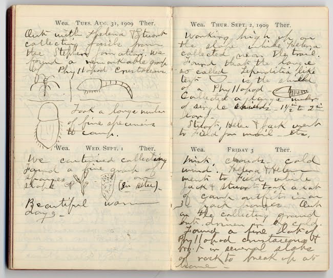 Data Deluge: Charles Doolittle Walcott's Field Diary Data Deluge: Charles Doolittle Walcott's Field Diary
