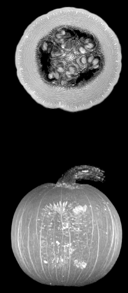 Data Deluge: February 2011