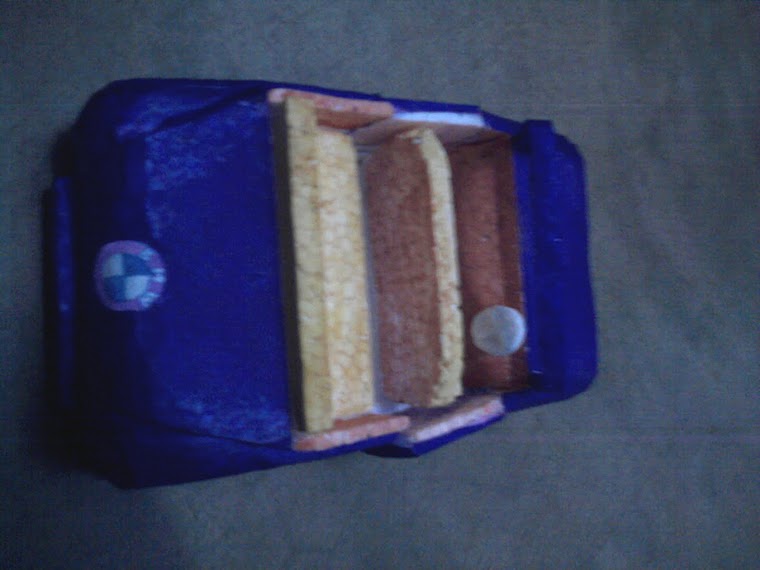 home made models: crafts made of thermocol sheet matchstick etc by ...