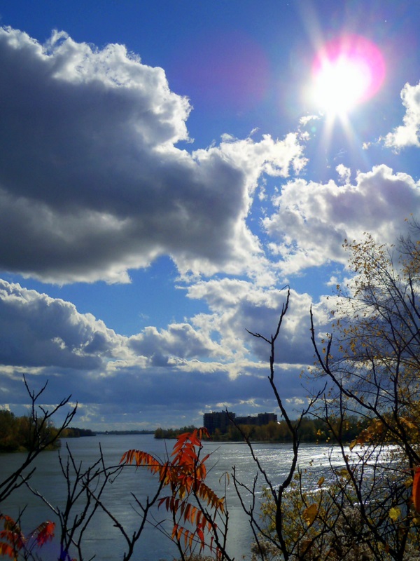 My Fave Photos/Mes plus belles photos: A Selection of my Fave Photos