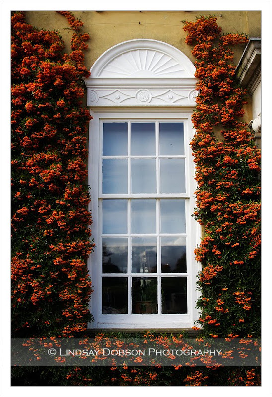 Lindsay Dobson Photography: Polesden Lacey