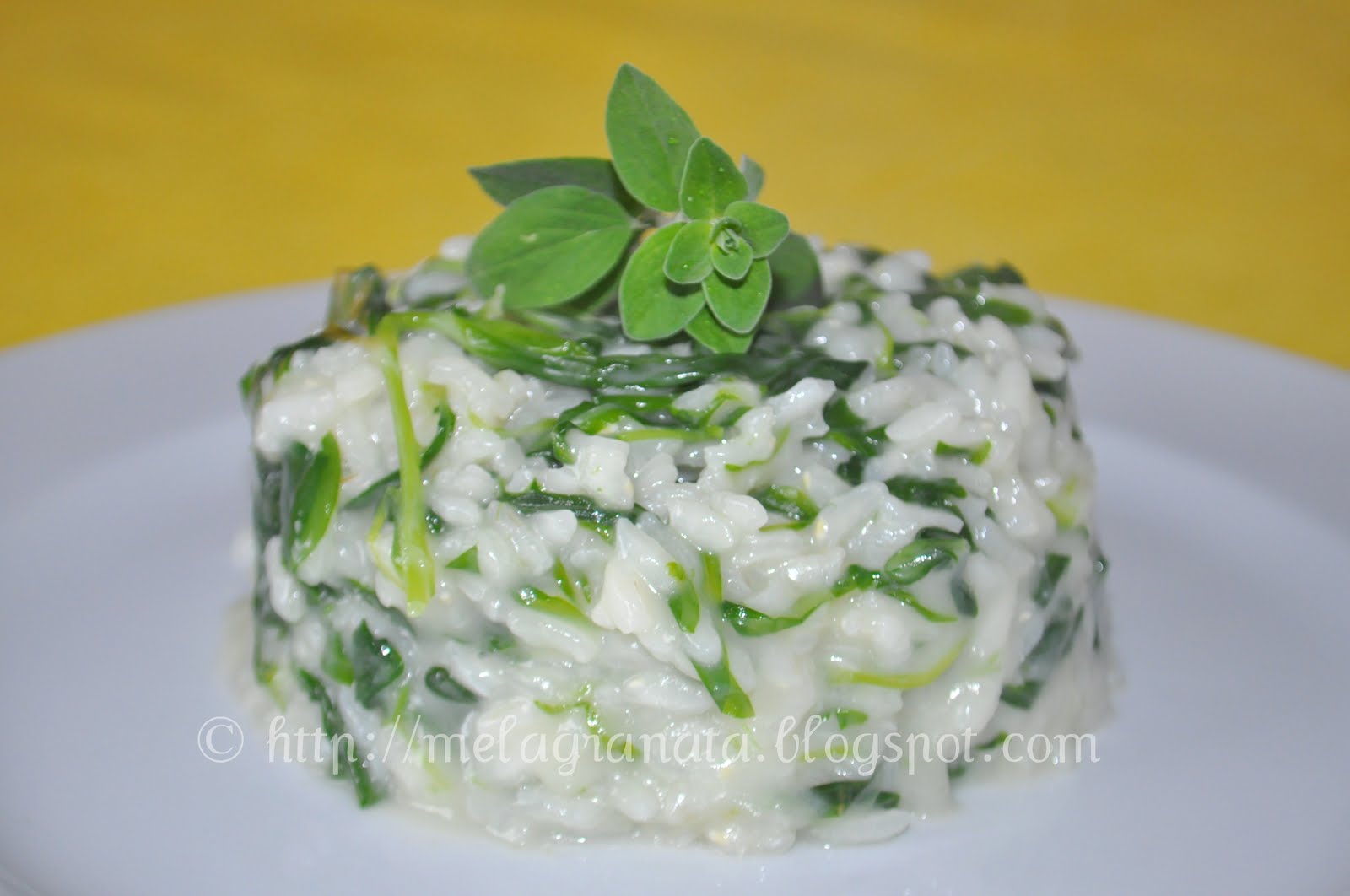 Risotto della Luna, con erba Selene | La Melagranata