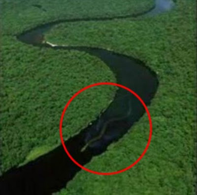 Amazing 100ft long Snake Pictured In Borneo ~ CRAZY PICS