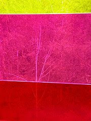 Creative Influences: Color Scheme: Hot Pink and Yellow
