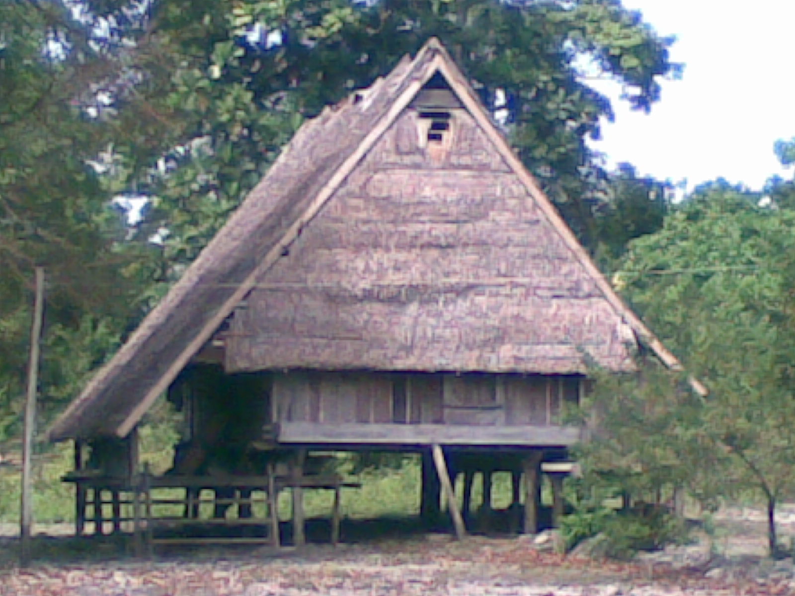 HAVE DREAM'S: Tanimbar Kei Island