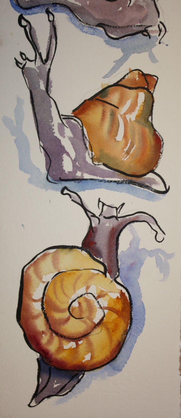 looking closer now: snail works