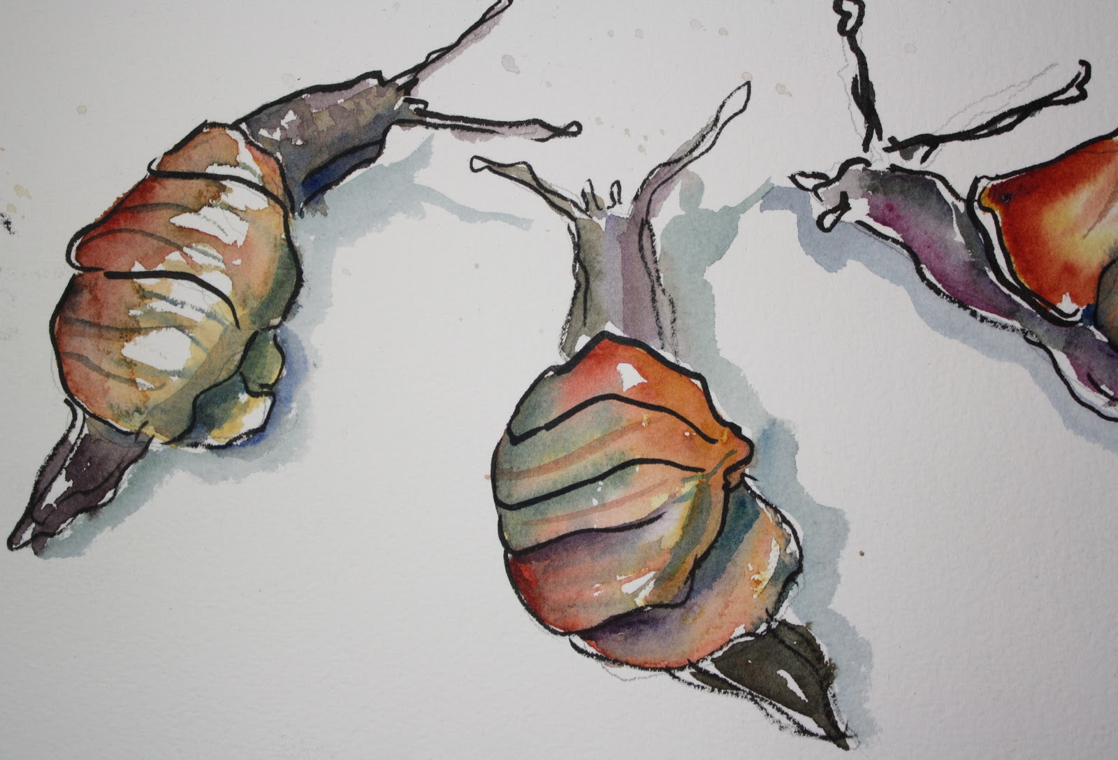 looking closer now: snail works