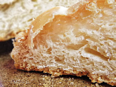 Pan Rústico. | RÚSTICA