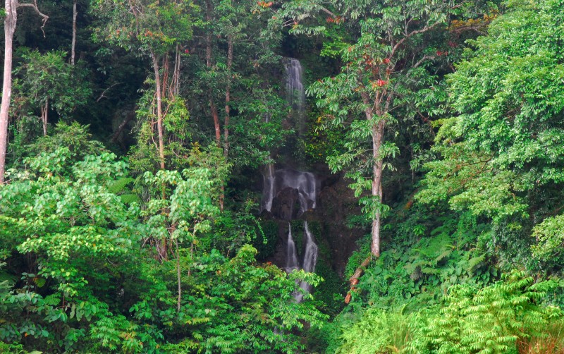 kuta beach beauty: Mount Leuser National Park