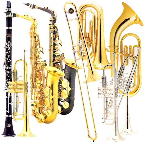 All Your Music Needs: The Family of Wind Instruments: From The Recorder ...