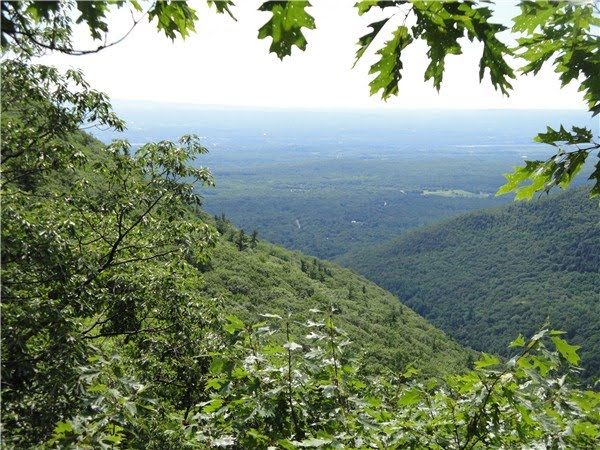 Gone Hikin': North-South Lake/Escarpment Trail, Catskill Forest ...