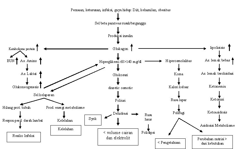 PATHWAY DIABETES MELLITUS | Teguh Subianto