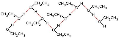 Chemistry Partner: Hydrogen Bonding