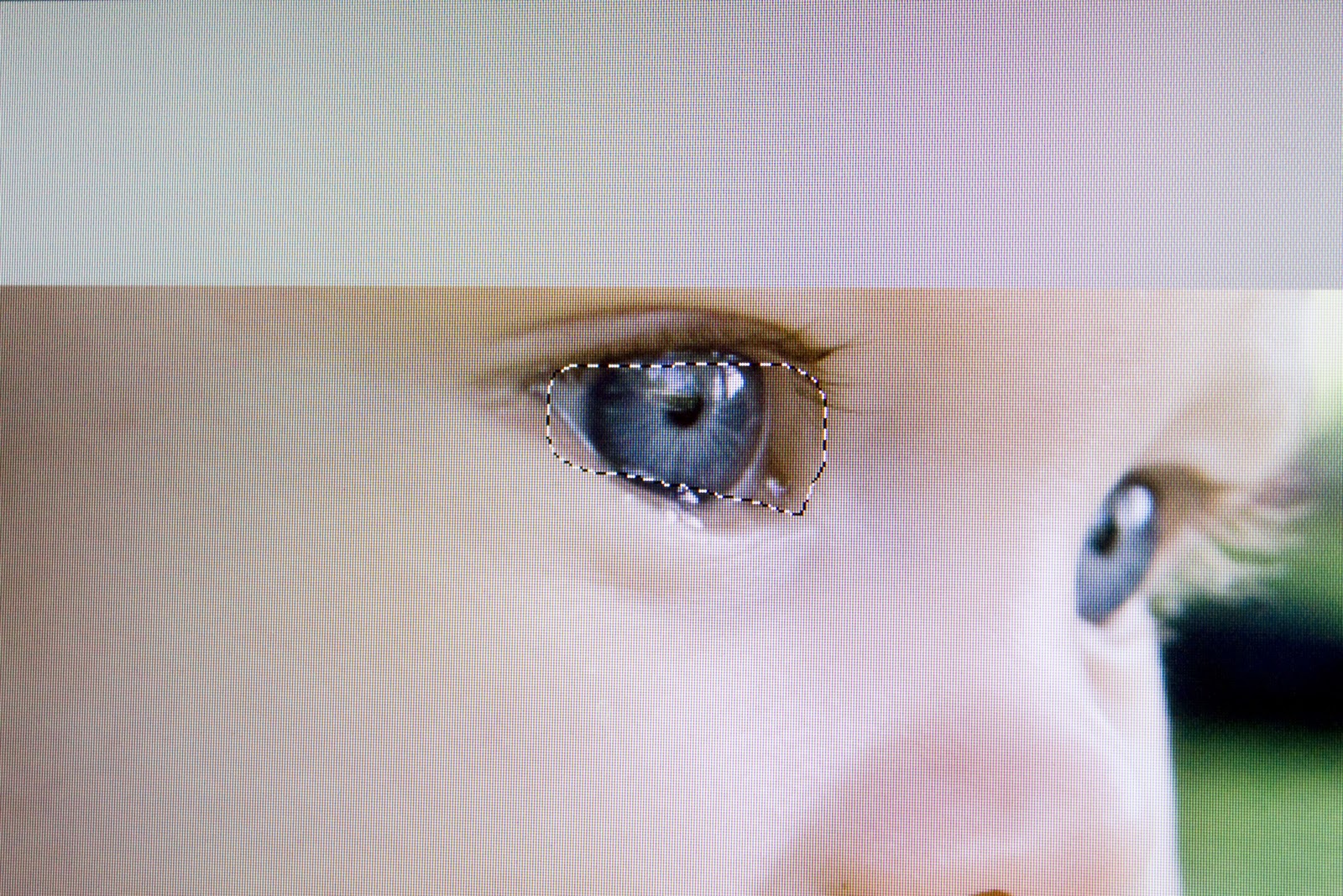 BebaPhotography: PHOTOSHOP TIP: How to Make Eyes "Pop" In Your Pictures