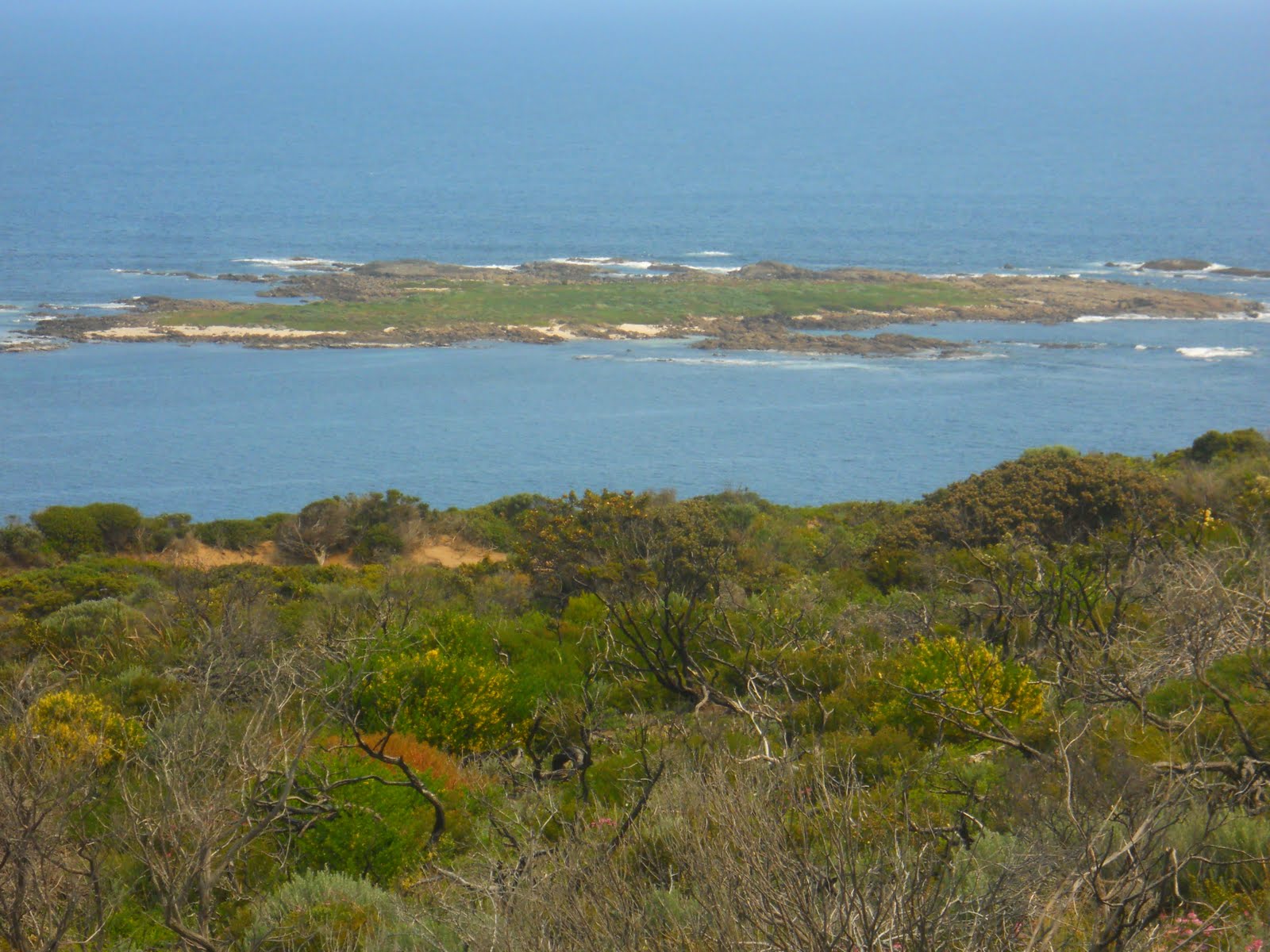 Right Around We Go: Windy Harbour: