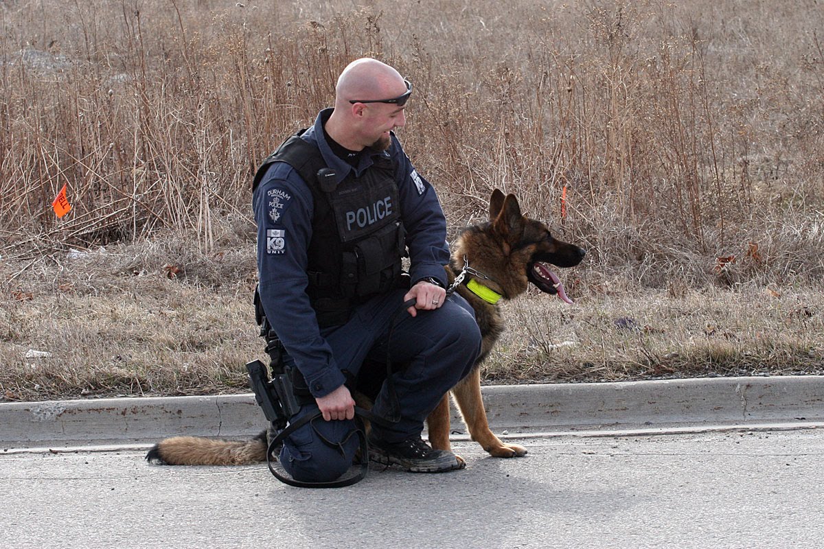 Ann Brokelman Photography: K9 Police Unit