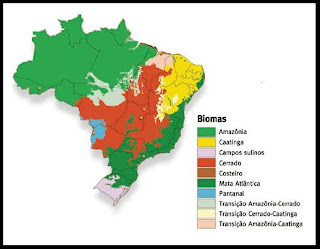 Biodiversidade: Biodiversidade - Biomas Brasileiros