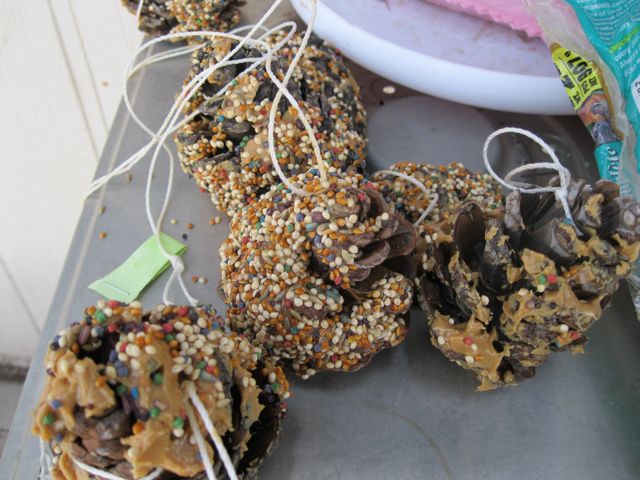 Pinecone Bird Feeders No Peanut Butter Bird FeedersBird Feeders pinecone-bird-feeders-no-peanut-butter-bird-feedersbird-feeders
