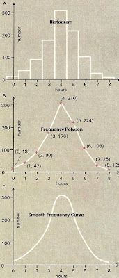 Statistics and Probability: Graphical Distribution of Frequency ...
