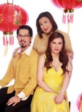 Mano Po 6: A Mother's Love: Movie Review - Reel Advice Movie Reviews