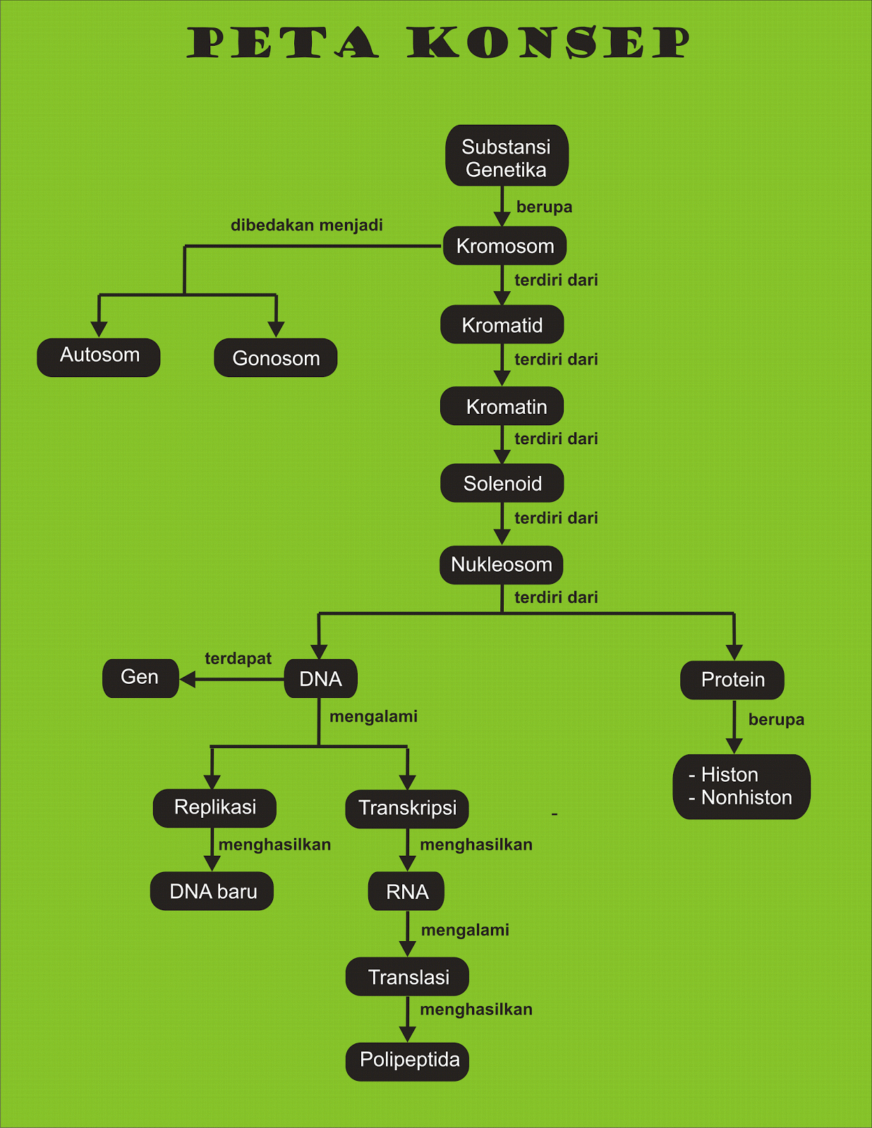 BIONCE: Bab 3 Substansi Genetika