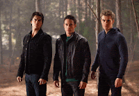 The Vampire Diaries Forever: Spoiler: Razboiul dintre vampiri si varcolaci