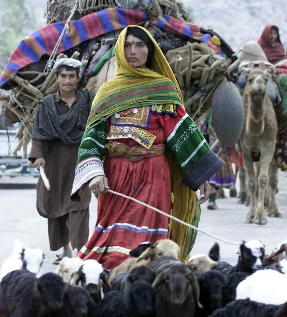 Kuchi Voice - دکوچيانوغږ: Hard Times for Afghanistan's Kuchi Nomads