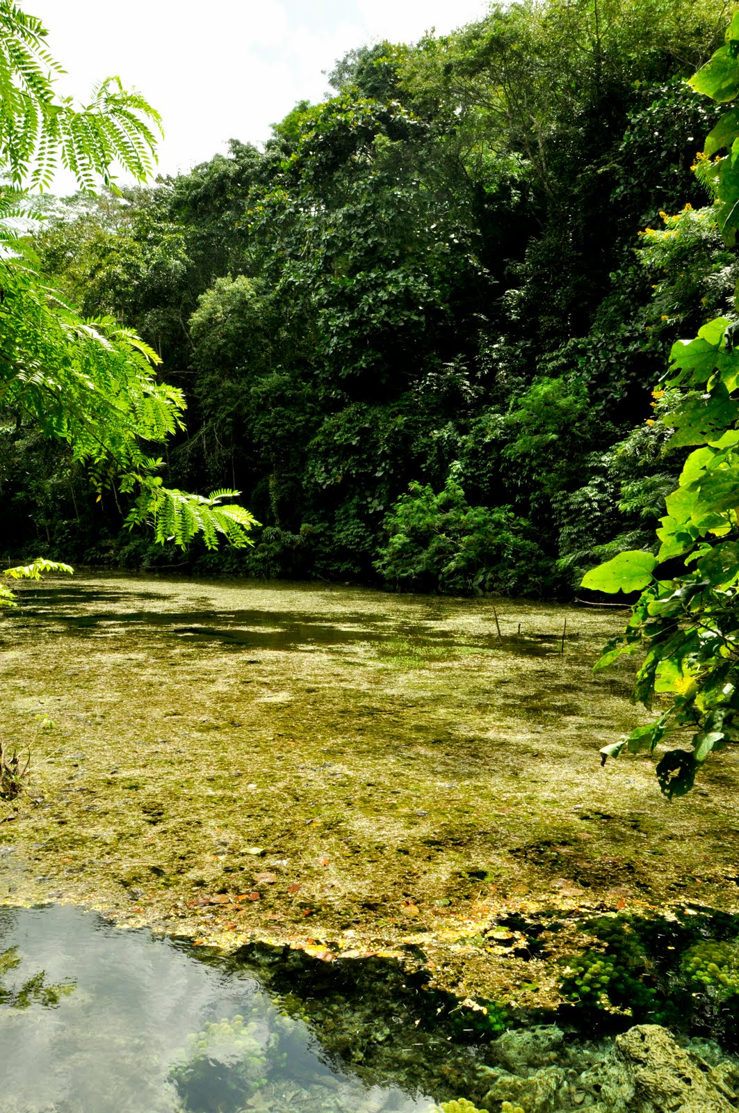 Davao Pictures | Davao Photos - POTOGRAPIYA DABAW