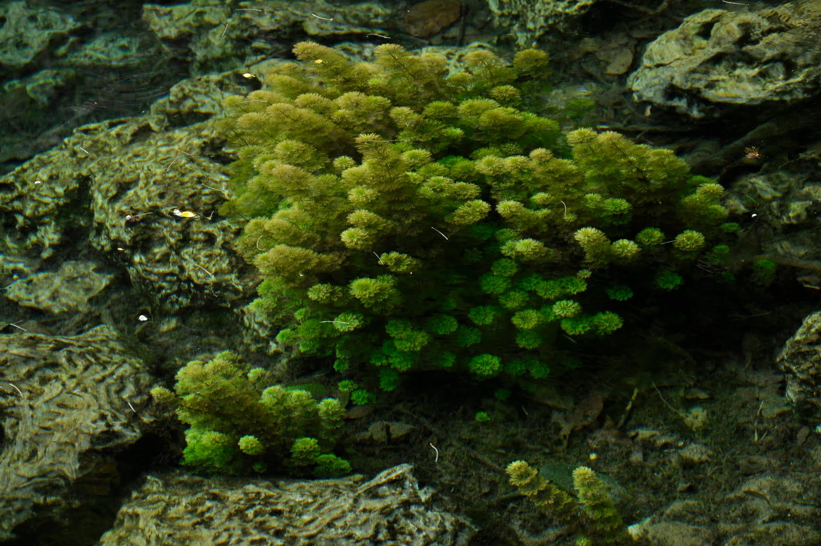 Davao Pictures | Davao Photos - POTOGRAPIYA DABAW