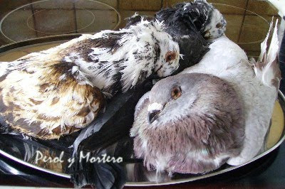 Perol Y Mortero: noviembre 2009