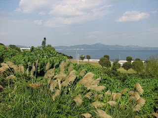 OUR OKINAWAN ADVENTURE AND BEYOND, 2005-2009: Sunday Brunch at Tengan ...