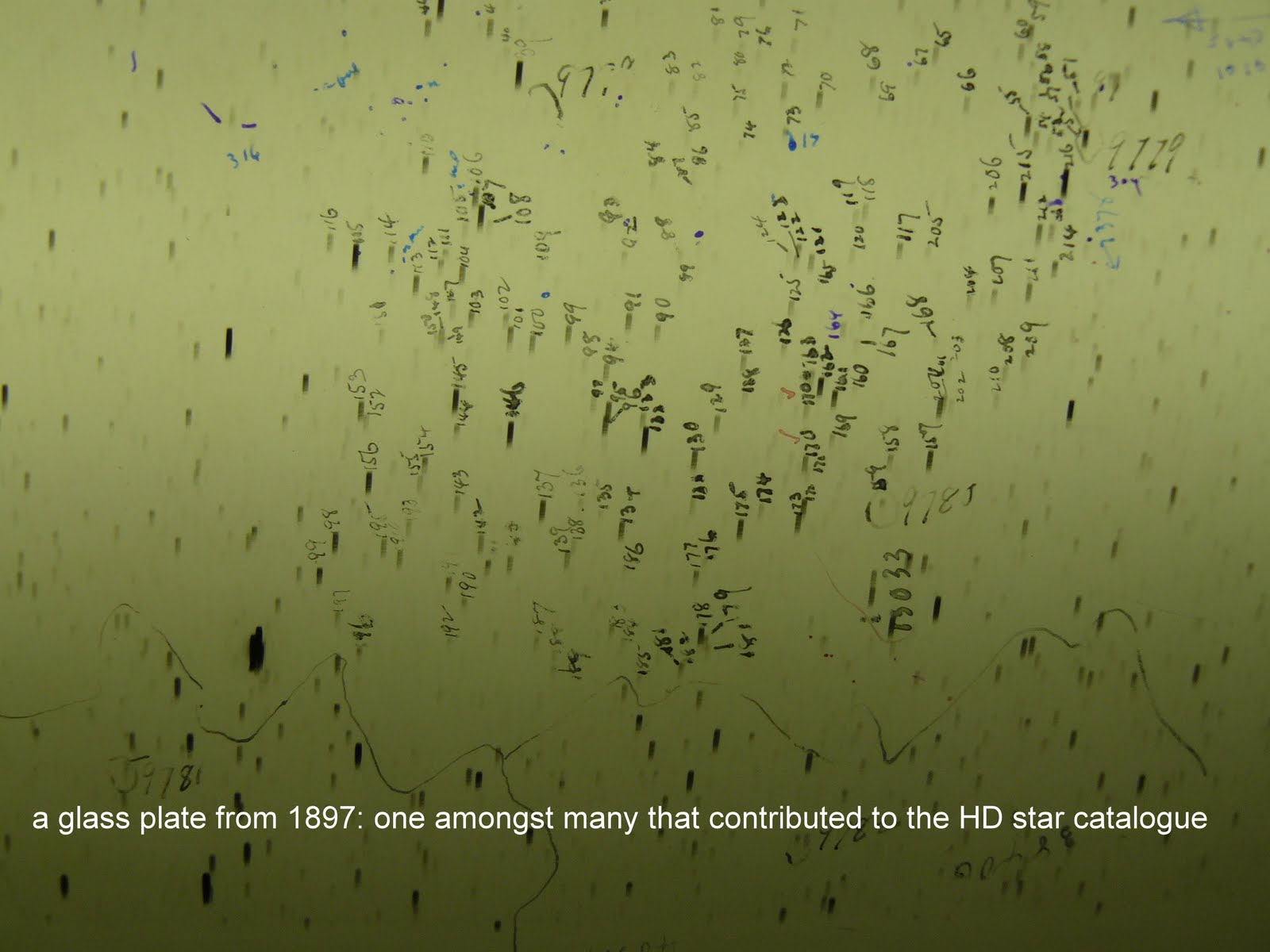 Smriti's adventure zone: Harvard plate stacks tour