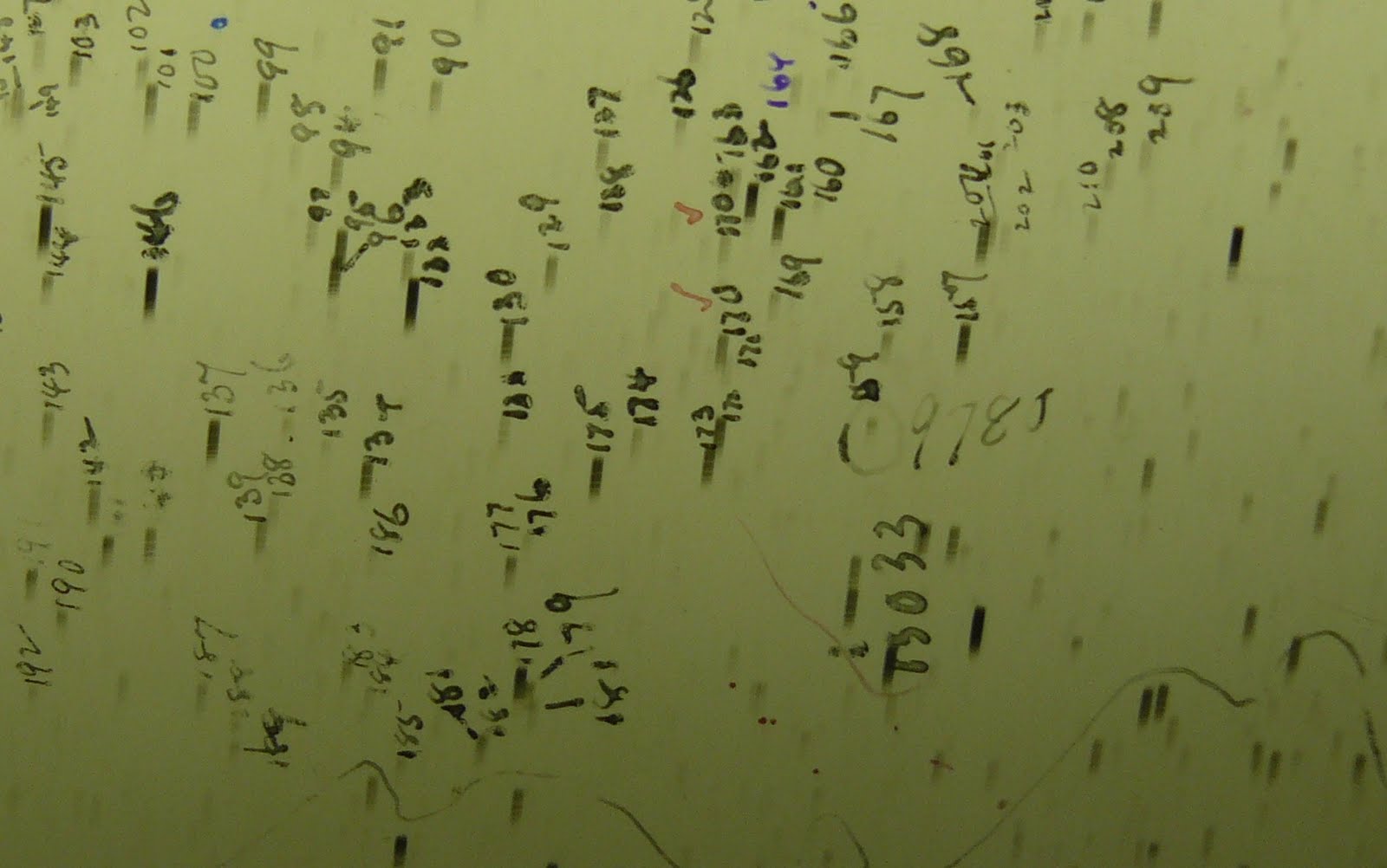 Smriti's adventure zone: Harvard plate stacks tour