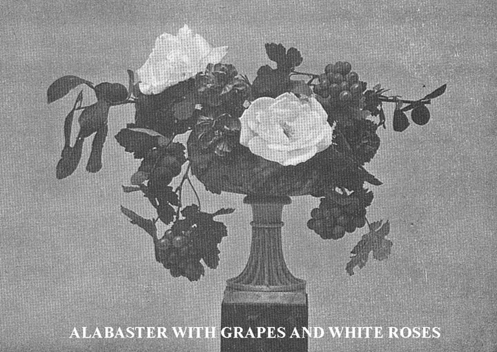 David's Diary: CONSTANCE SPRY; Part One