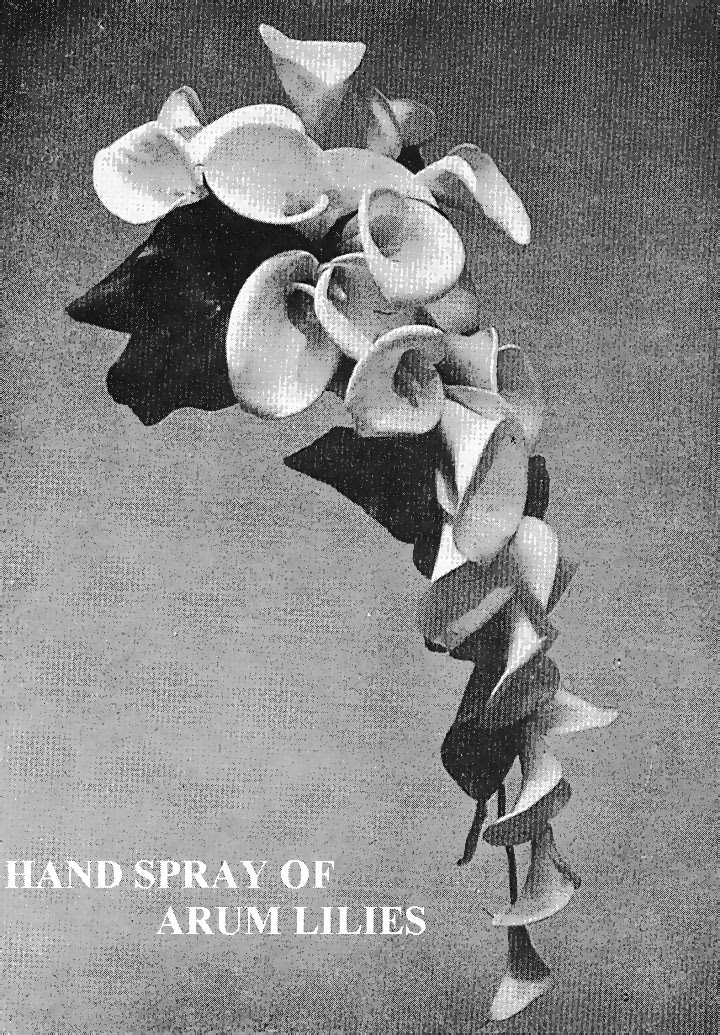 David's Diary: CONSTANCE SPRY; Part Three