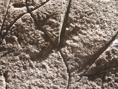 Simbolos en roca - Pistas de una relacion