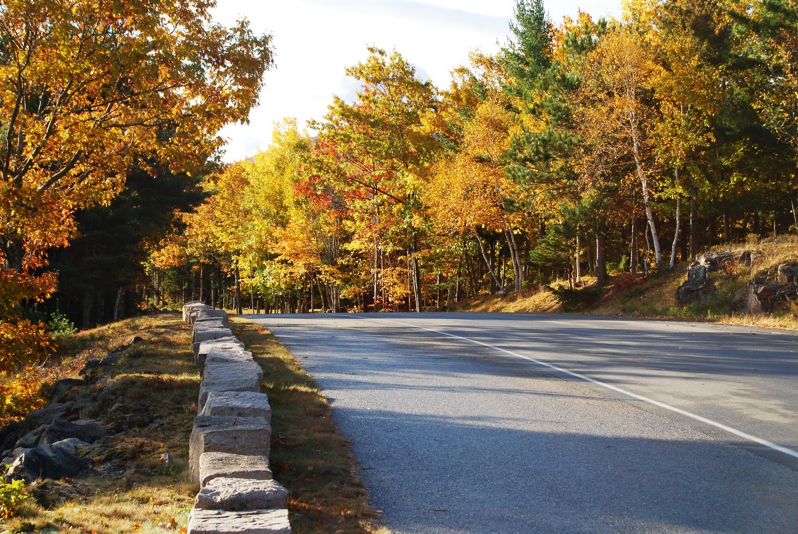 Life Lived Out Loud: O, Canada!