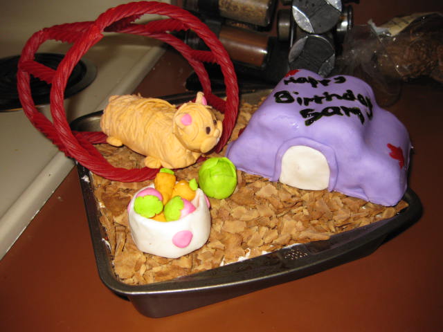 Phat Kid Cakes: Hamster Cake