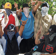 Pandillas en la ciudad de Cali