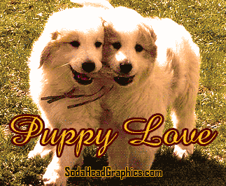 Puppy Love: puppy love so cute