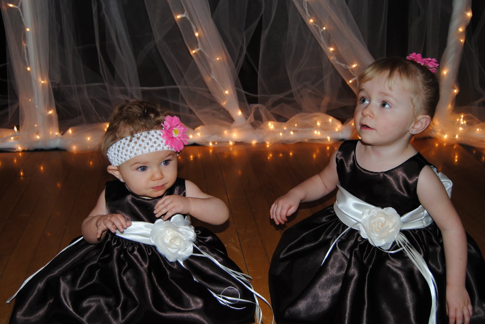 Ben, Jessica, Allyson, Kilee, & Radley: Ashley & Jason's Wedding