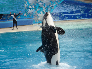 Sea World, San Diego, CA