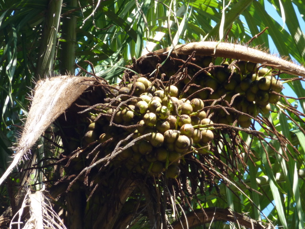 Andarrios: Nuestra Casa En La Playa: November 2010