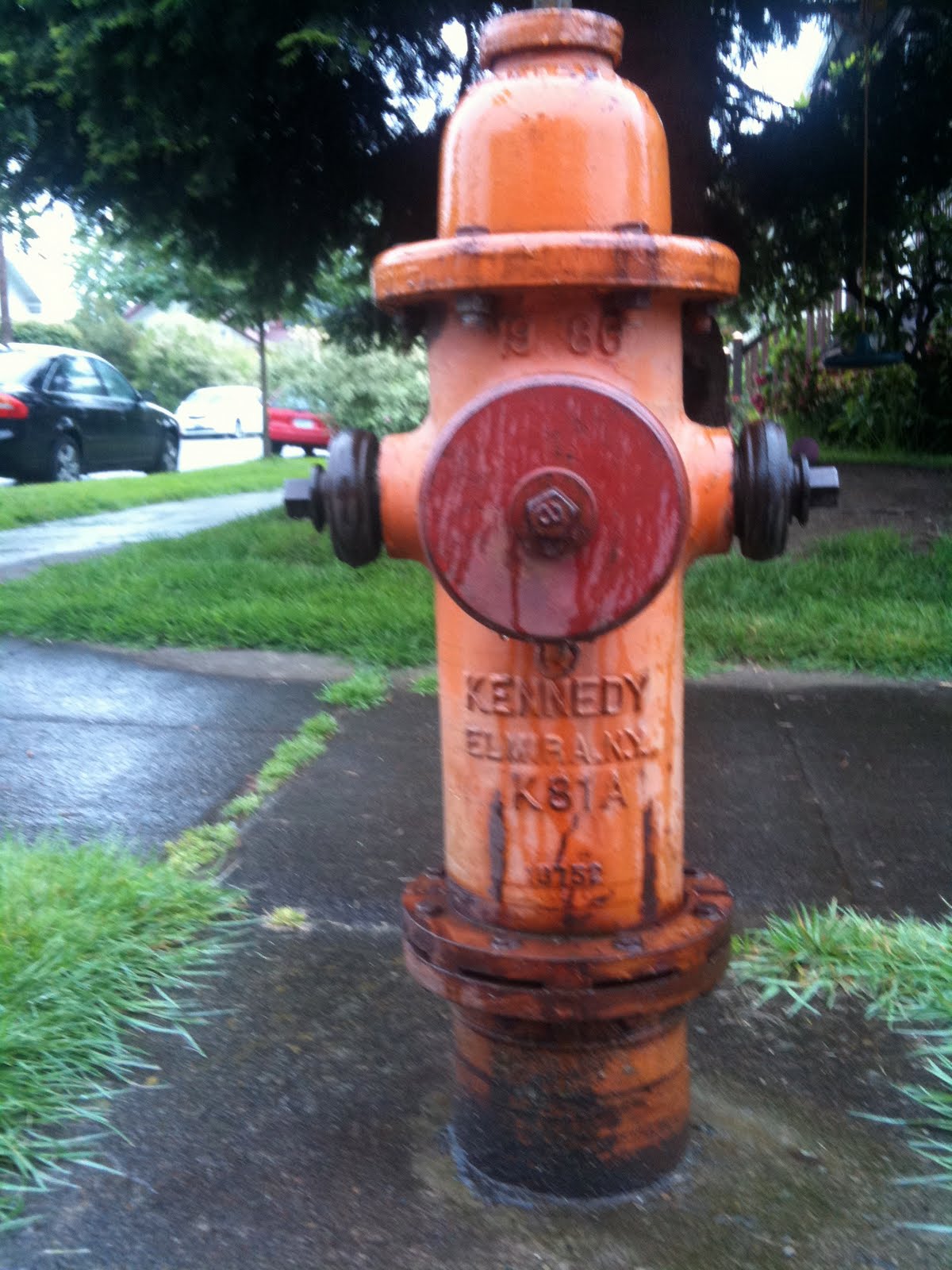 The Daily Postcard: Fire Engines and Fire Hydrants - Elmira, New York