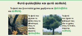 ΧΡΩΜΑΤΟΠΟΙΟΙ: ΤΑ ΜΕΡΗ ΤΟΥ ΦΥΤΟΥ