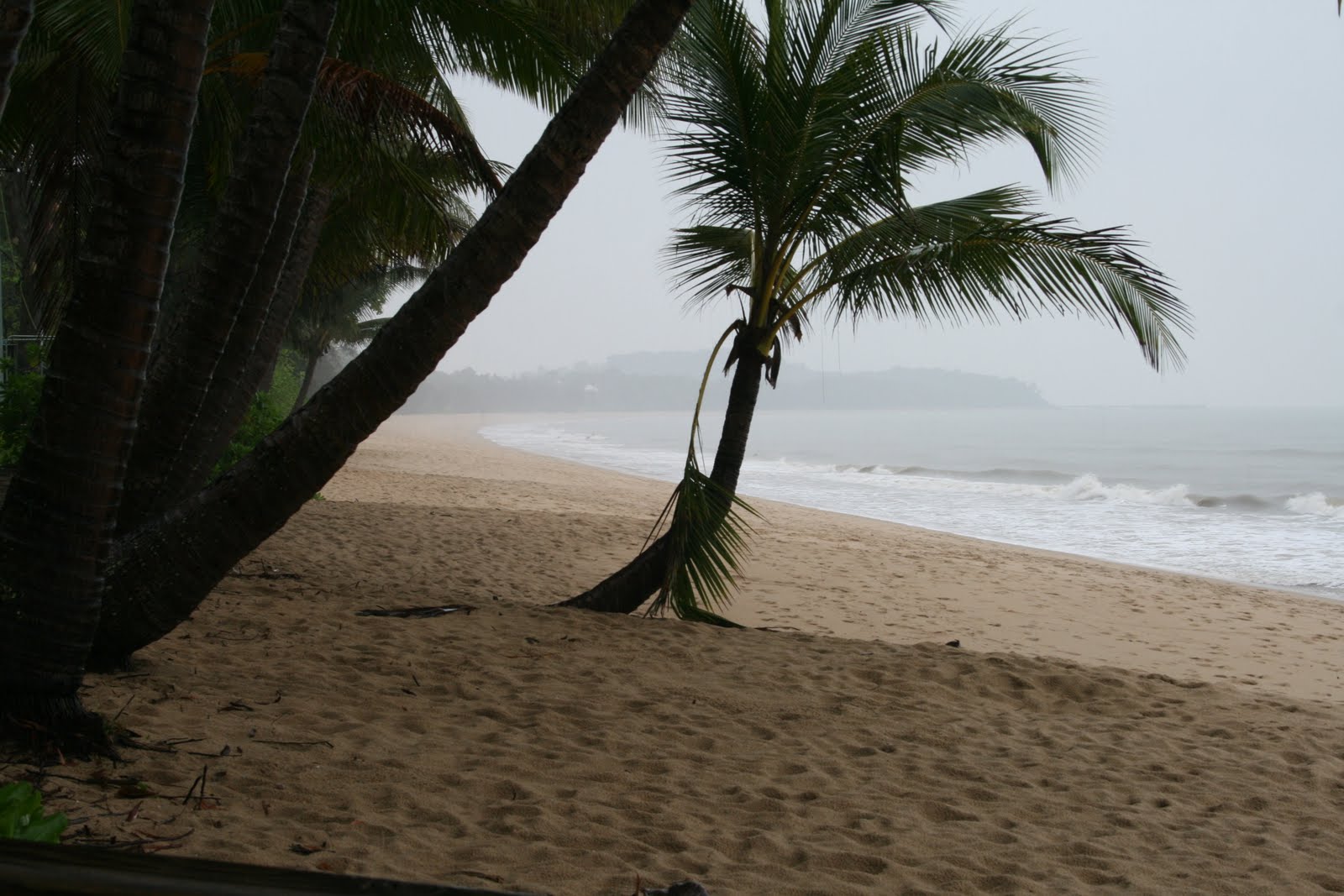 Photography: Tropical Rain