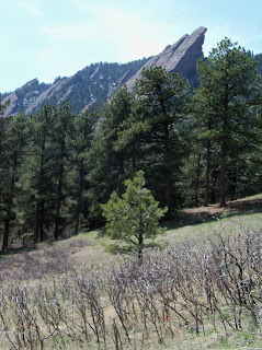 Trail and Park Reviews: Royal Arch in Boulder Colorado