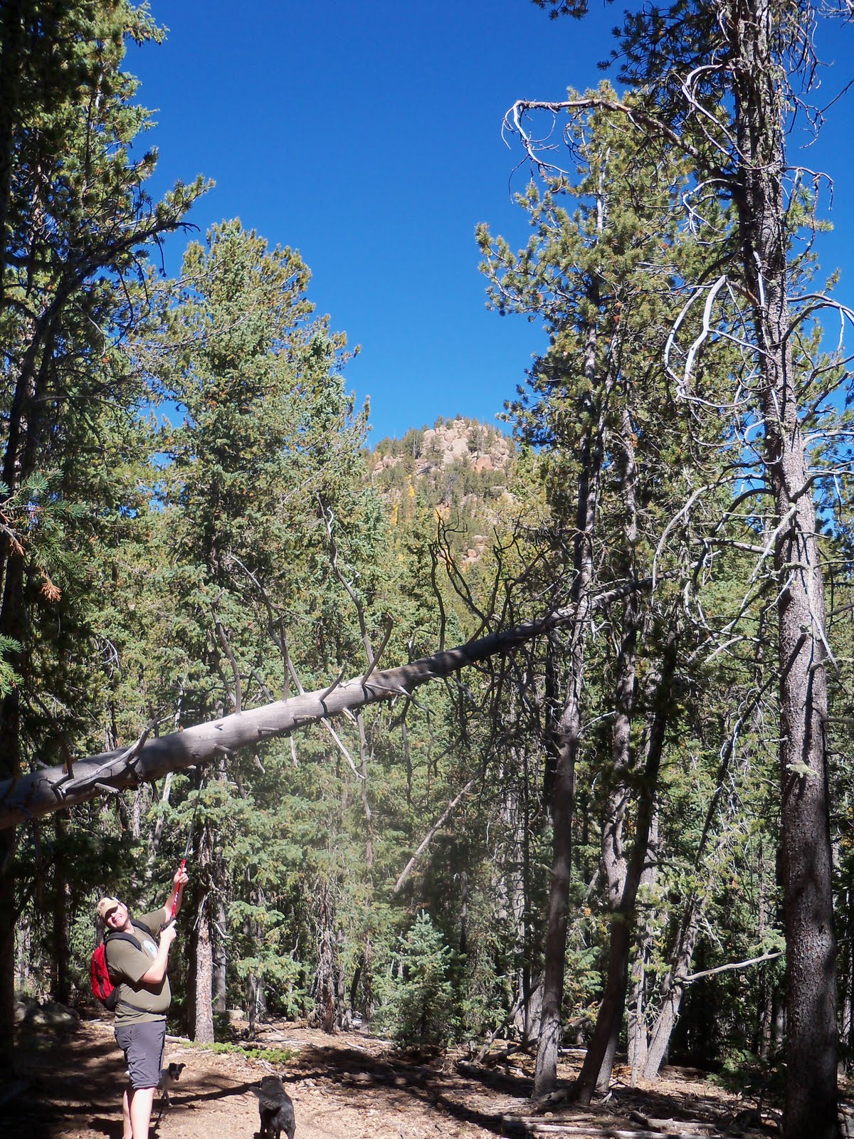 Trail and Park Reviews: Fall colors are nearing their peak in the Rocky ...